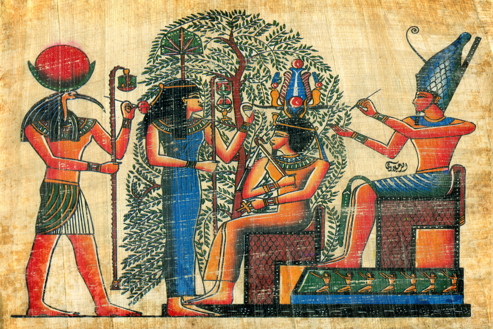 Papyrus The paper Of Ancient Egypt Hannah Fielding